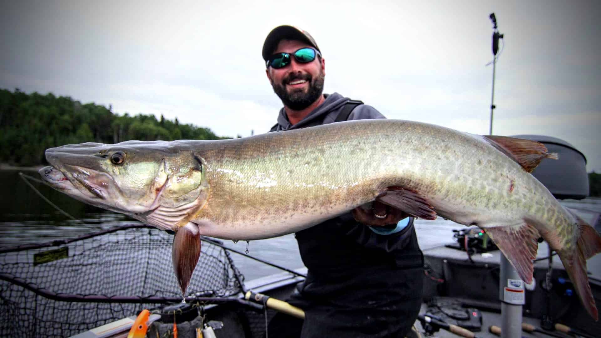 Lac Seul Fishing: A Guide to Trophy Walleye - Angling Edge