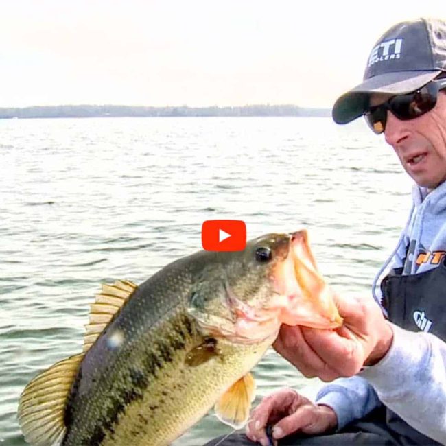 Spring Catfishing | Early Season Catfish Tactics | Angling Edge