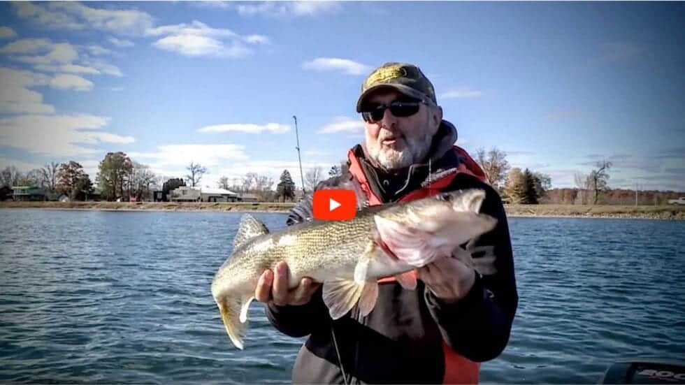 Homepage - Angling Edge