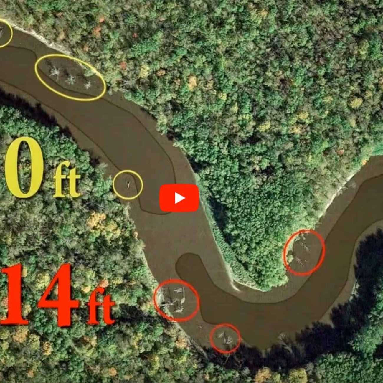 CATFISH - Angling Edge