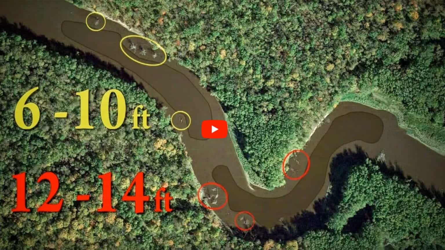 CATFISH - Angling Edge