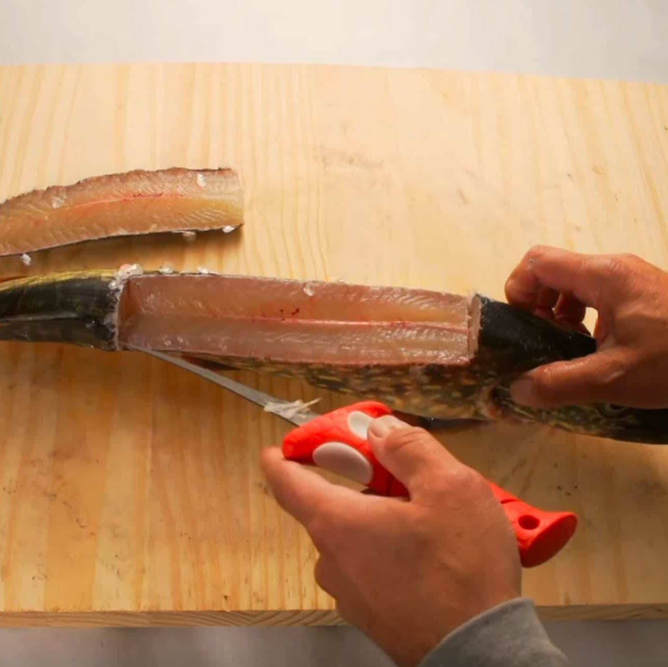 How to Remove Northern Pike Y Bones - Angling Edge