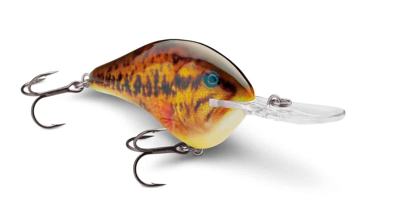 Our Best Bass Lures of All-Time - |Top Lure Picks for Bass | Angling Edge