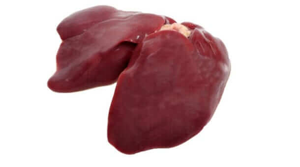 10 Best Catfish Baits of All-Time | Top Producing Baits | Angling Edge