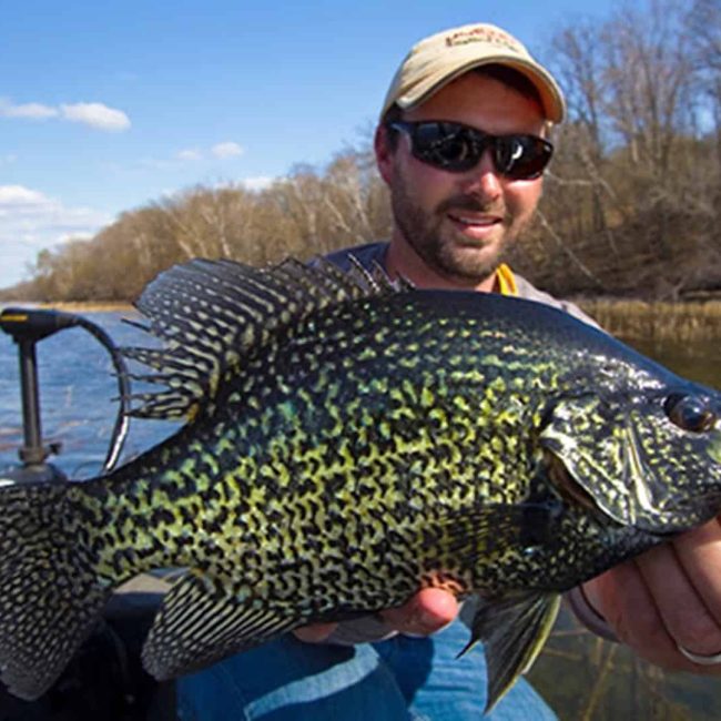 What Is A Panfish? - Popular Fish Category | Angling Edge