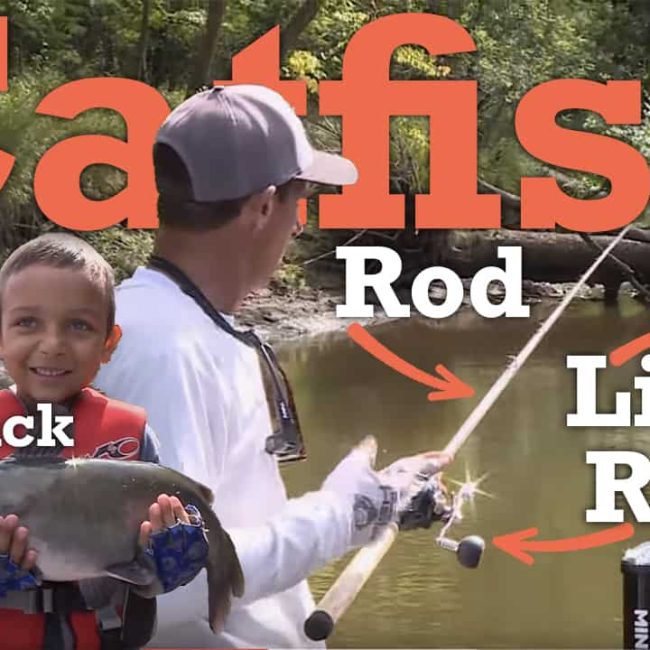 CATFISH - Angling Edge