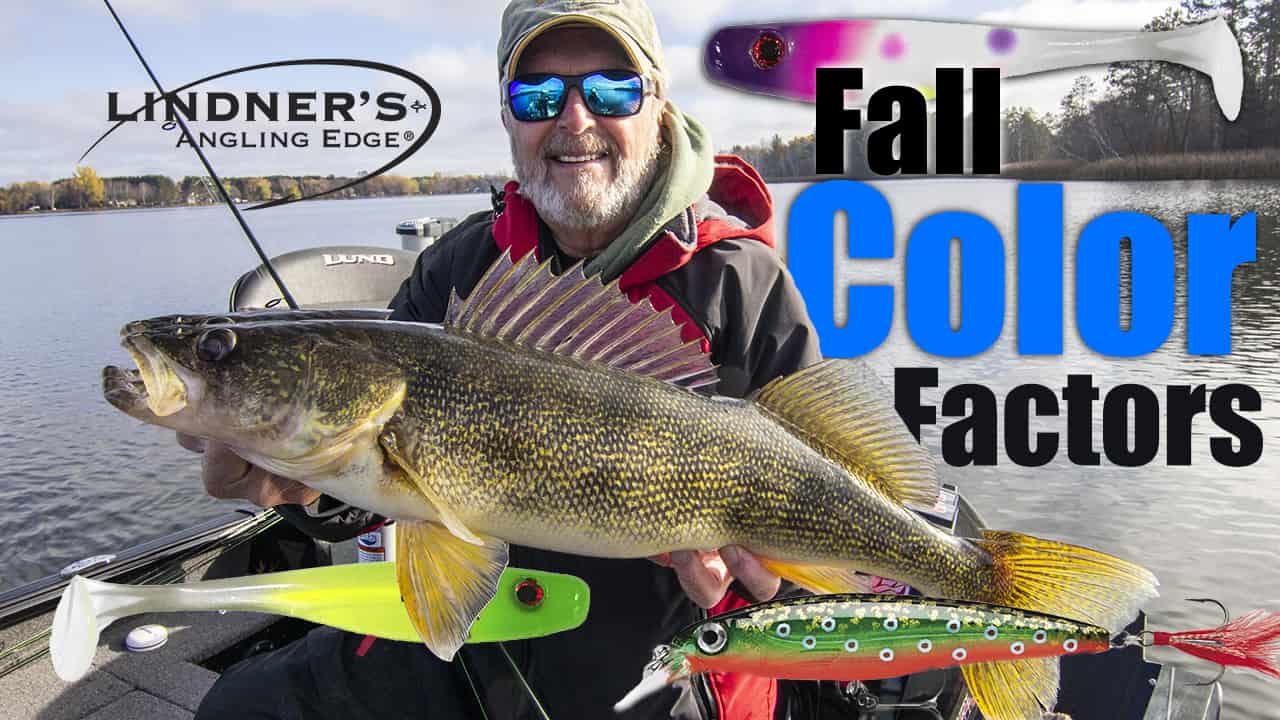 Color Factors For Fishing Walleye in Fall - Angling Edge