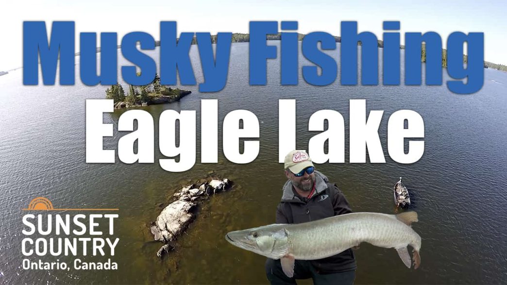 PIKE-MUSKY - Angling Edge
