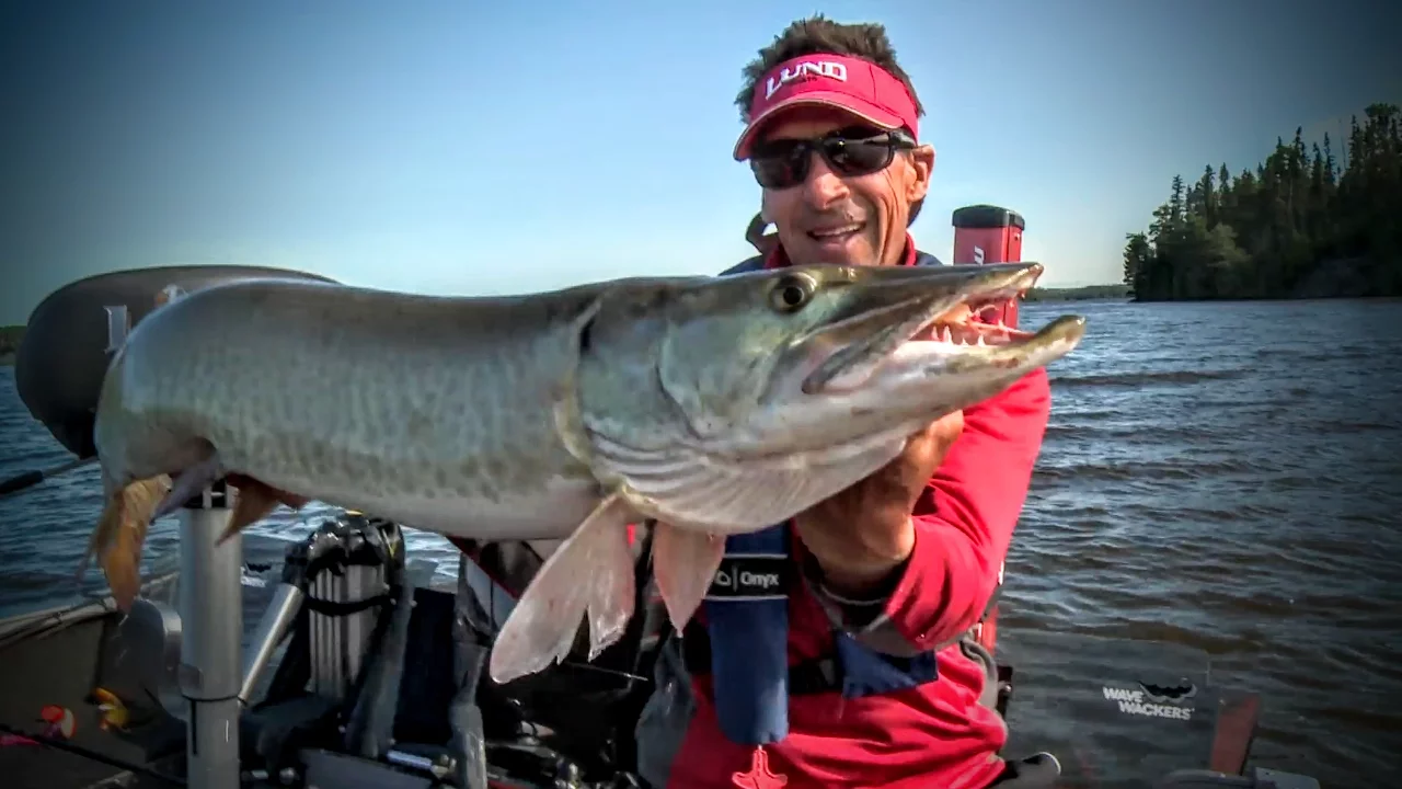 Musky On Wabigoon: Expert Fishing Tips - Angling Edge