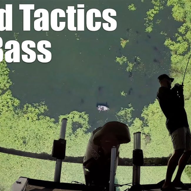 ANGLING EDGE TV - Angling Edge