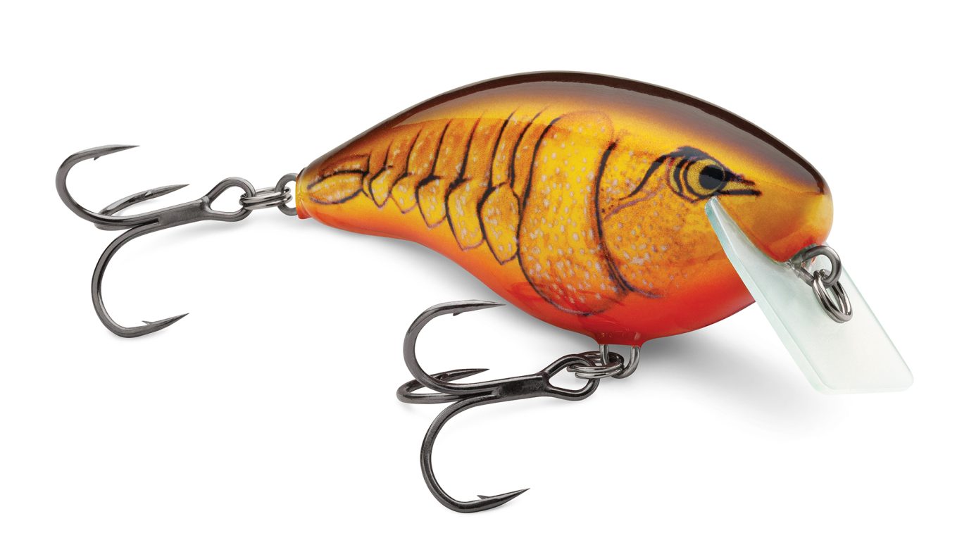 Mastering the Cast: Techniques for Casting Distance and Accuracy ...