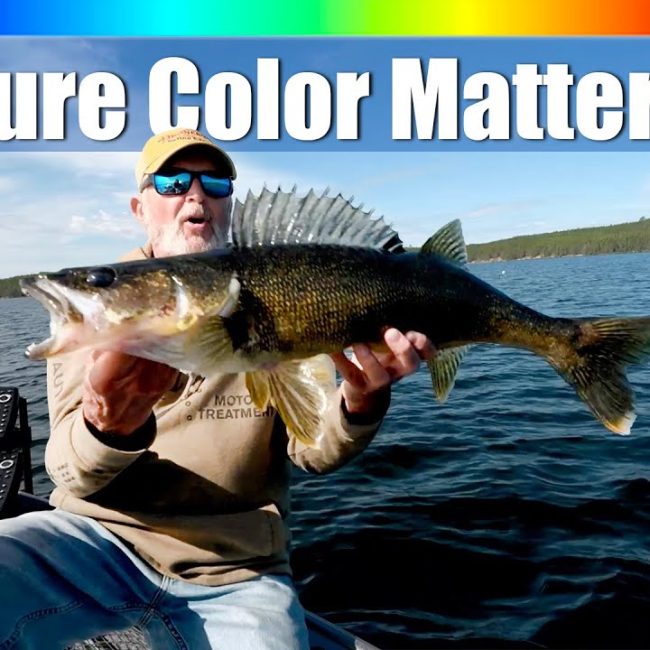 Recipes Archive - Angling Edge