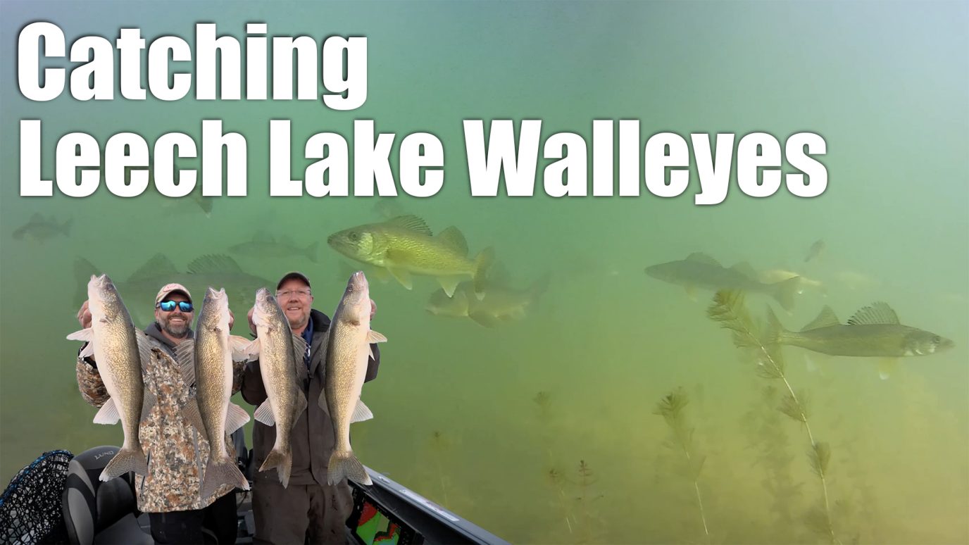 Reading the Water: Finding Fish in Rivers and Lakes - Angling Edge