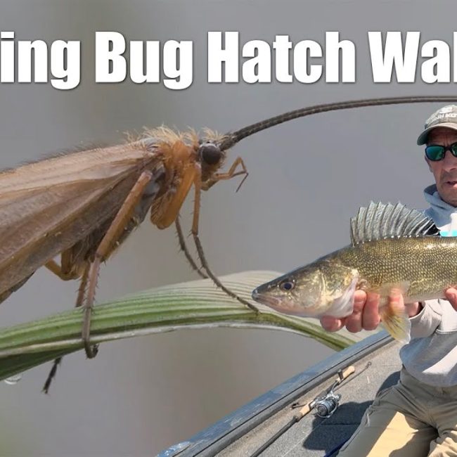 When the Message Sticks — Spiritual Nourisment - Angling Edge