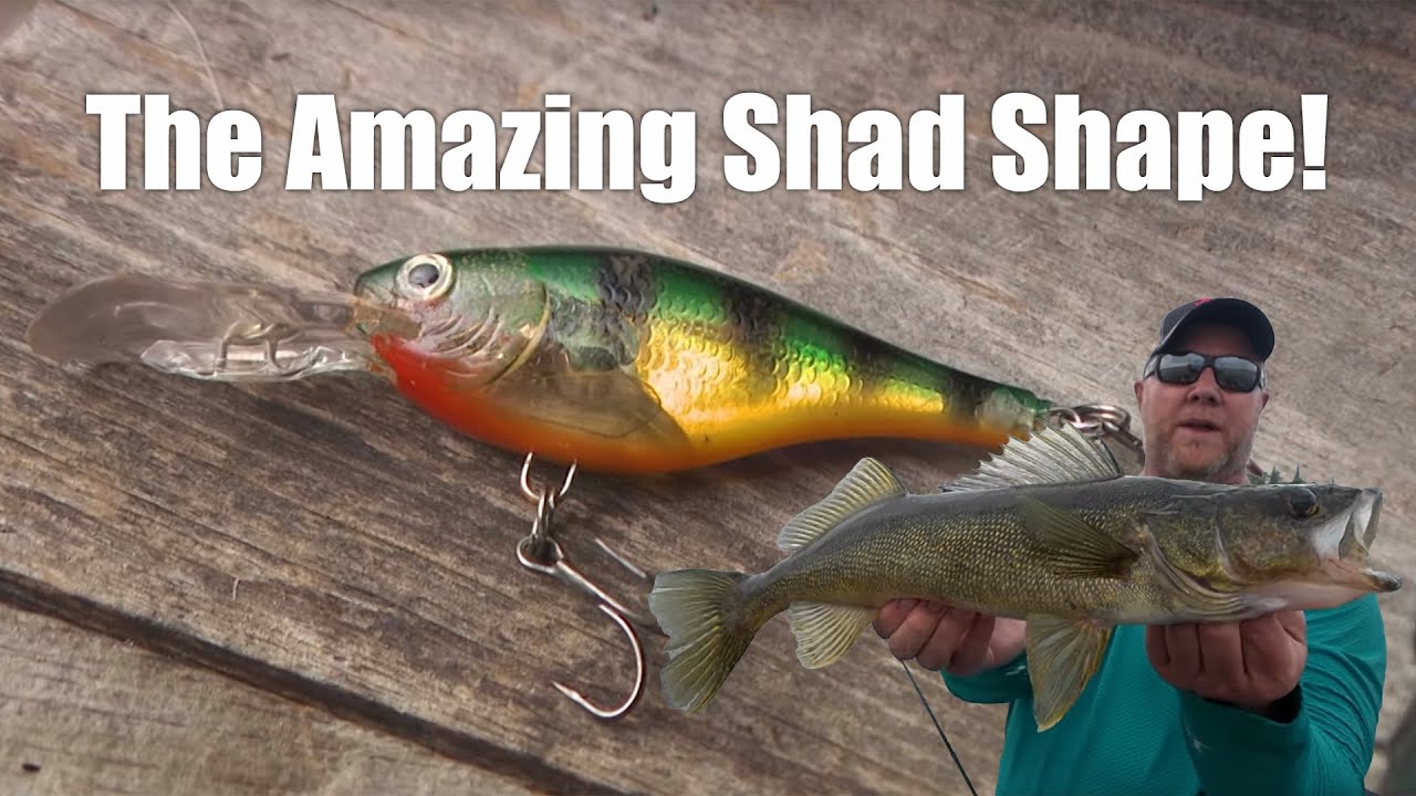 The BEST Way to Fillet a Pike - EASY METHOD | Angling Edge
