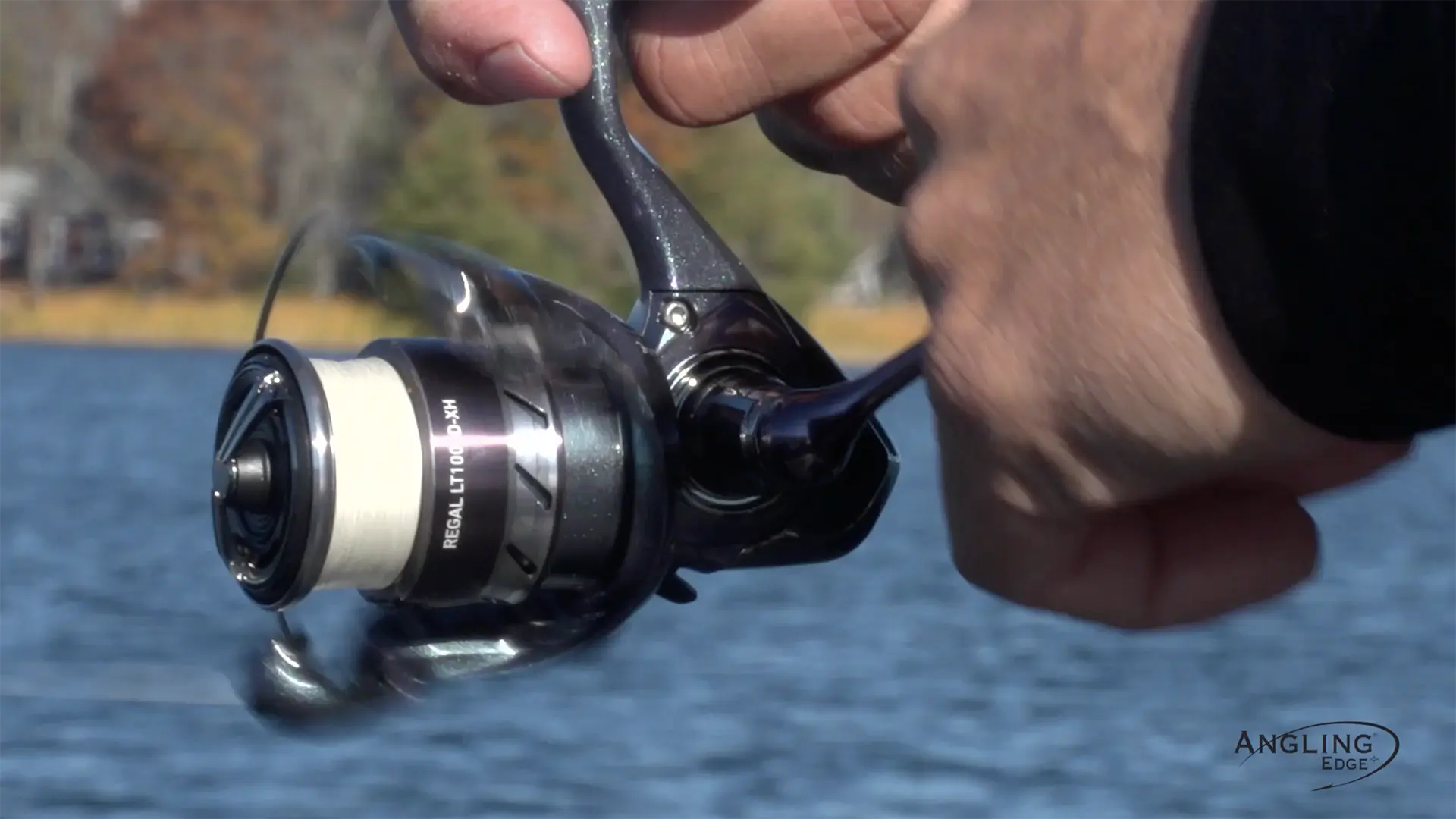 Breaking Down the Daiwa Regal LT Spinning Reel Line - Angling Edge