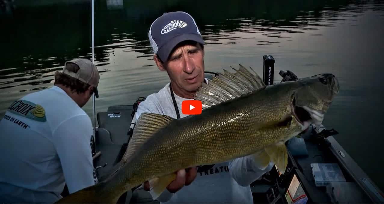 10 Best Catfish Baits of All-Time | Top Producing Baits | Angling Edge