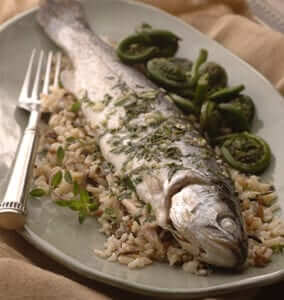 RECIPES | Angling Edge