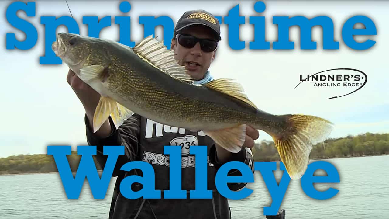 Catching River Walleyes | Angling Edge