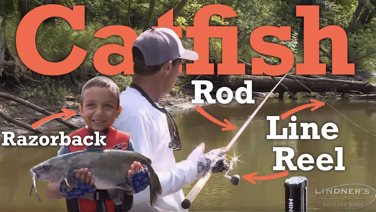 10 Best Catfish Baits of All-Time | Top Producing Baits | Angling Edge