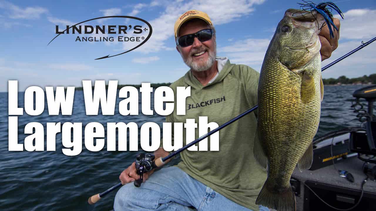 Artificial Baits for Crappie | No Live Bait Needed | Angling Edge